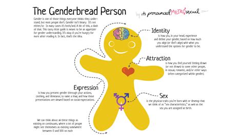 The Genderbread Person Midland Heart