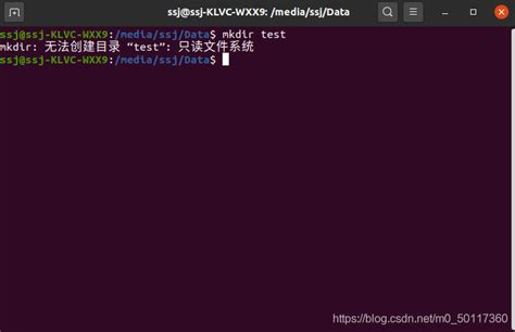 win10和ubuntu双系统，ubuntu打开win下的d盘提示只读文件系统解决方法 为什么win的盘在ubuntu下只读 csdn博客