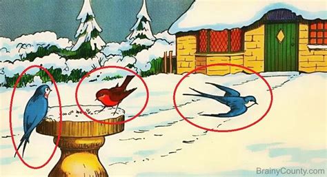 Prueba Tu Vista De Halcón En Este Acertijo Visual Identificando Los