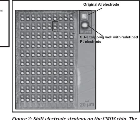 Figure 3 From Scalable Sensor Array Platform For Analysis Of Quantal