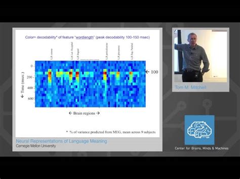 free video neural representations of language meaning from mitcbmm