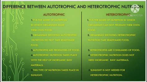 Difference Between Autotrophic And Heterotrophic Nutrition Youtube