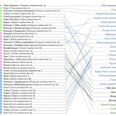 An Illustration Showing The Evolution Of Three Major Adenovirus Genera