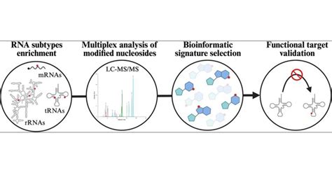 Mass Spectrometry Based Pipeline For Identifying Rna Modifications