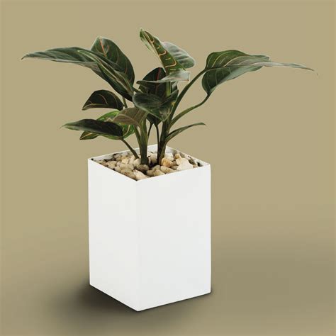 Rectangular Planter Box Greenergy Ventures