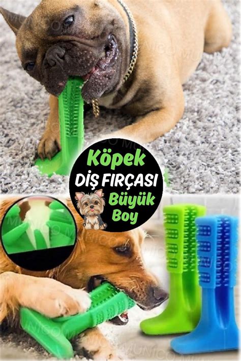 Munico Köpek Kaktüs Interaktif Kauçuk Çiğneme Oyuncakları Büyük Köpekler Için Diş Temizleme Diş