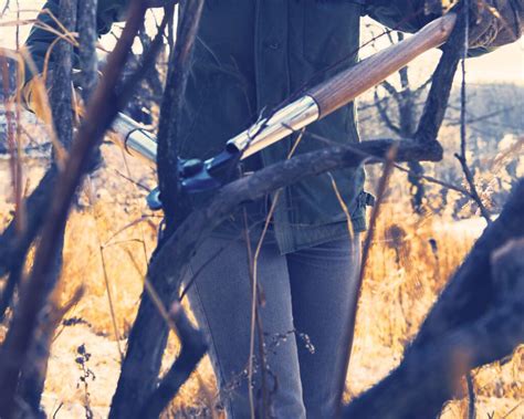 Blueberry Bush Pruning Unlocking An Abundant Harvest Complete Gardening