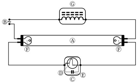 Grant Trebbin Fluorescent Starter
