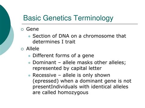 Ppt Genetics Powerpoint Presentation Free Download Id2809204