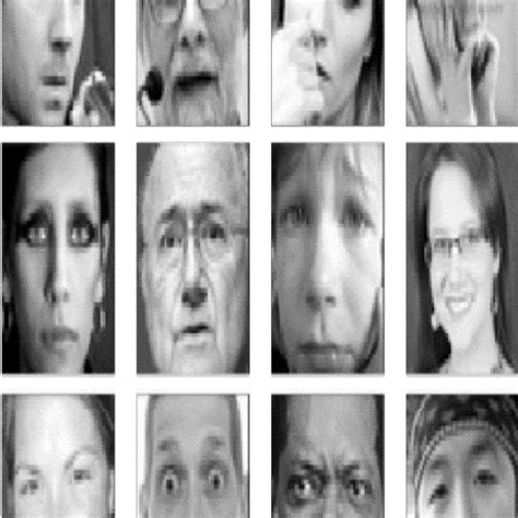 Fer 2013 Facial Expressions 14 Download Scientific Diagram