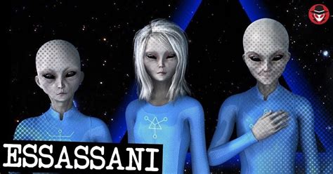 BASHAR Can You Comment A Babe Bit About What Your Race Looks Like Could You Describe It For Us