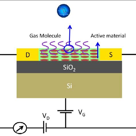 Transistor Diode Based Gas Sensor Download Scientific Diagram