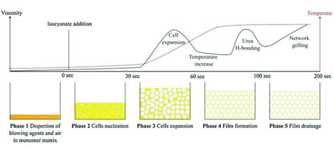 Growth Of Cells During Polyurethane Foams Formation Reprinted From Download Scientific Diagram
