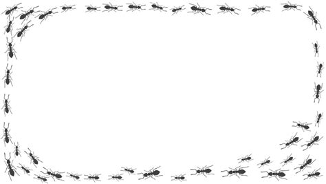 Trail Of Ants Ant Line White Row Fumigation Png And Vector With