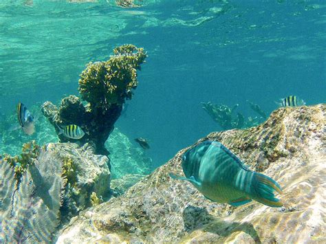 To View More British Virgin Islands Bvi Images Click Here