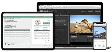 What Is The Best Low Code Platform Options Compared For
