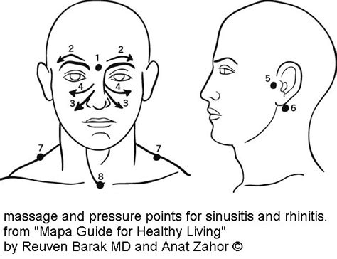 Massage And Pressure Points For Sinusitis And Rhinitis Empty Nose