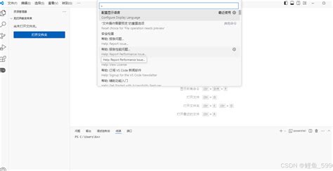 前端工具篇 如何将vsc设置为中文vsc中文 Csdn博客