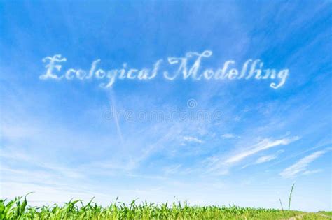 ecological modelling using computer models to simulate and understand