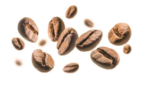 A Journey Through The Aromatic Varieties Of Coffee Beans