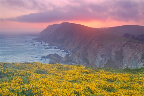 What To See At Point Reyes National Seashore At Jean Fitzgerald Blog