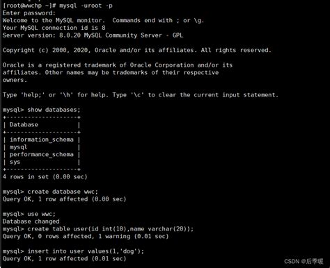 shell编程综合案例（初级）备份数据库 shell 备份数据库文件 csdn博客