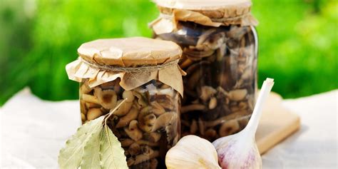 Маринованные опята на зиму Лайфхакер