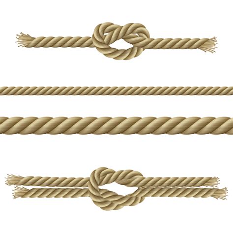 Extraordinary Rope Vector Pictures
