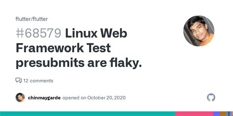 Linux Web Framework Test Presubmits Are Flaky · Issue 68579 · Flutter