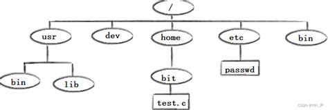 【linux 系统编程】linux背景介绍 及 基本指令详解（一） linux 项目背景 csdn博客
