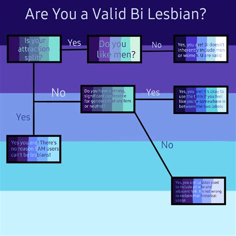 Bi Lesbian Validity Flowchart But The Answer Is Yes No Matter What