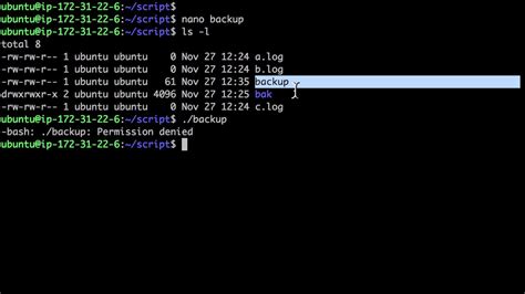 Linux Shell Script 2 Example Youtube