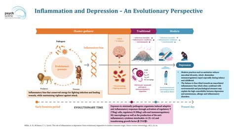 Neurobiology Of Depression A Simplified Guide
