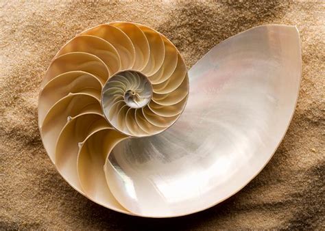Why Do We Rely So Much On Geometry In Our Designs Human Spaces Why Do We Rely So Much On Geometry In Our Designs Human Spaces