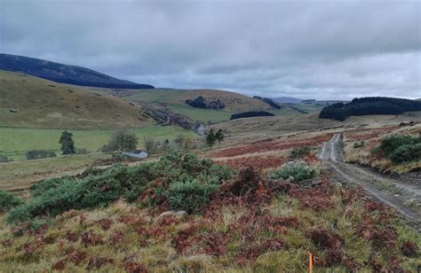 Nattergal A Natural Capital Approach To Rewilding Degraded Land At