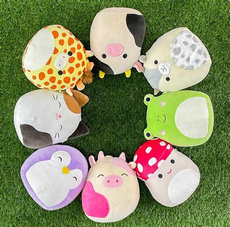 Five Below Squishmallows Home Of The Humble Warrior