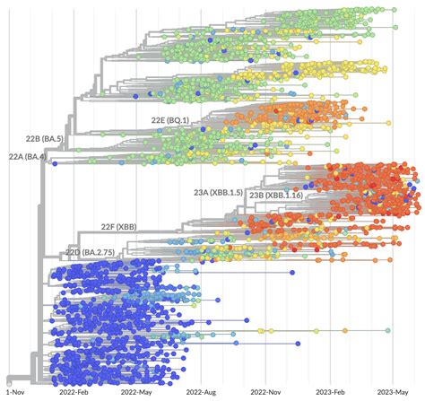 Evolutionary Forecasting For Sars Cov 2