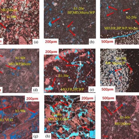 Pore Types Of Carbonate Reservoirs In Mishrif Formation A Wackstone Download Scientific