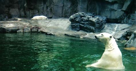 Polarizing Album On Imgur