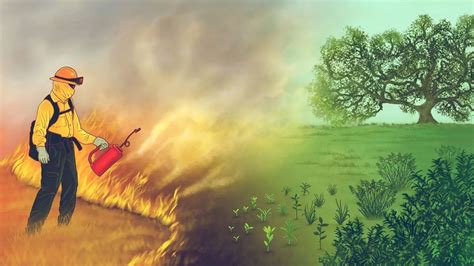 Marjorie Steele On Linkedin Yes ️🔥