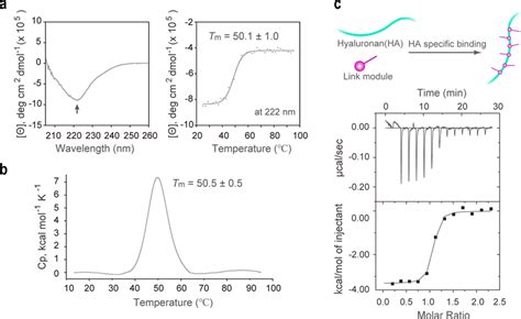 Physicochemical Properties Of The Purified Linkcfq A Representative Download Scientific Diagram