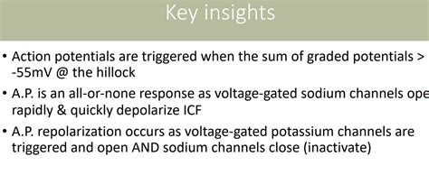 Biology 40 B Hyperpolarizing Graded Potentials Can Be Caused By Choose All The Correct Answers