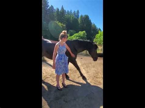 Dainty Rascal Dancing Mp4 3gp Flv Mp3 Video Indir