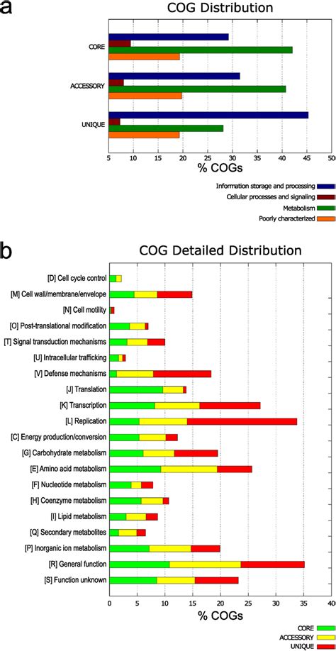 Classifications Of The Pan Genomes Gene Set Based On Cog Categories A