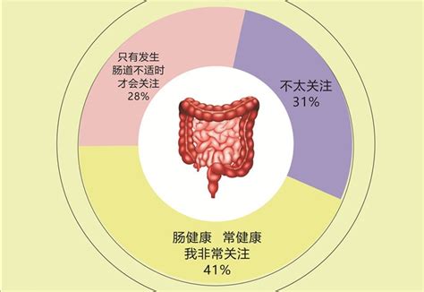 肠道菌群与人类共同进化 哔哩哔哩