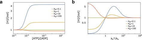 Performance Of Abc Transporters A Steady State Concentration Ratio