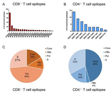 Hla Restriction And Protein Distribution Of Validated Cd4 T Cell