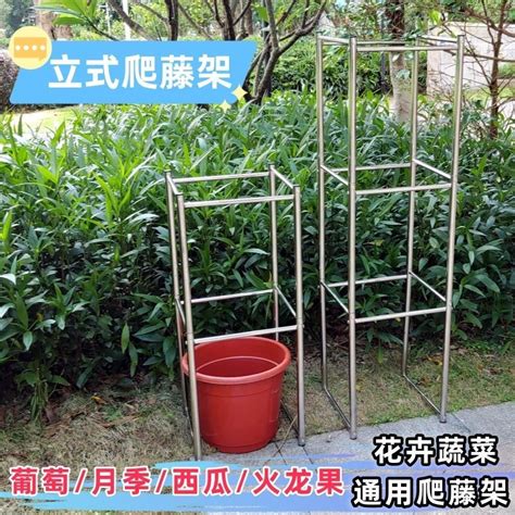 火龍果支架 火龍果種植架 園藝支撐架 盆栽支撐架 火龍果架立式葡萄架不銹鋼支撐架月季百香果爬藤架方形瓜果支撐架 蝦皮購物