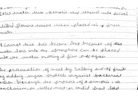 Example Of Osmosis 20240602 0046 Pdf