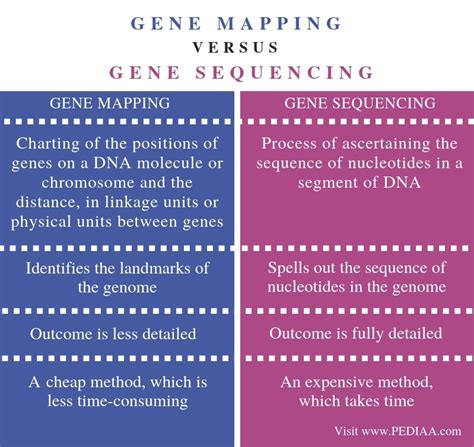 what is the difference between gene mapping and gene sequencing